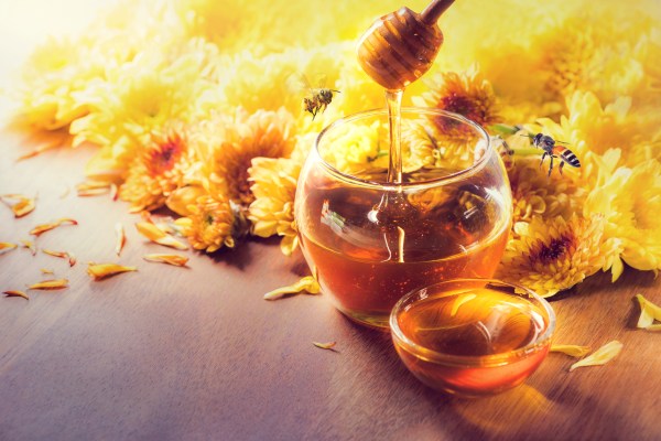 Deborah the Bee Part I | GRACE in TORAH