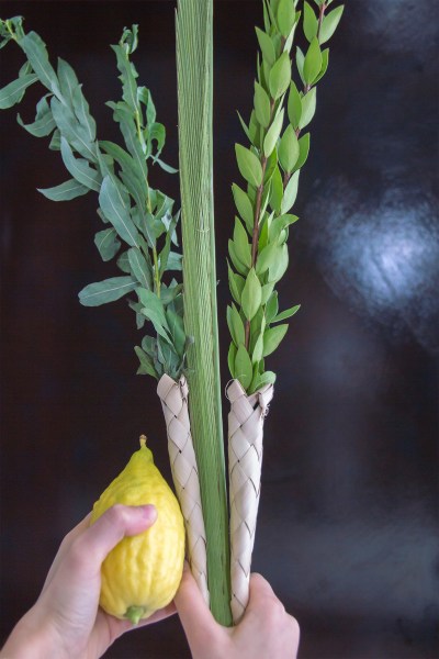 Hoshiana! | GRACE in TORAH